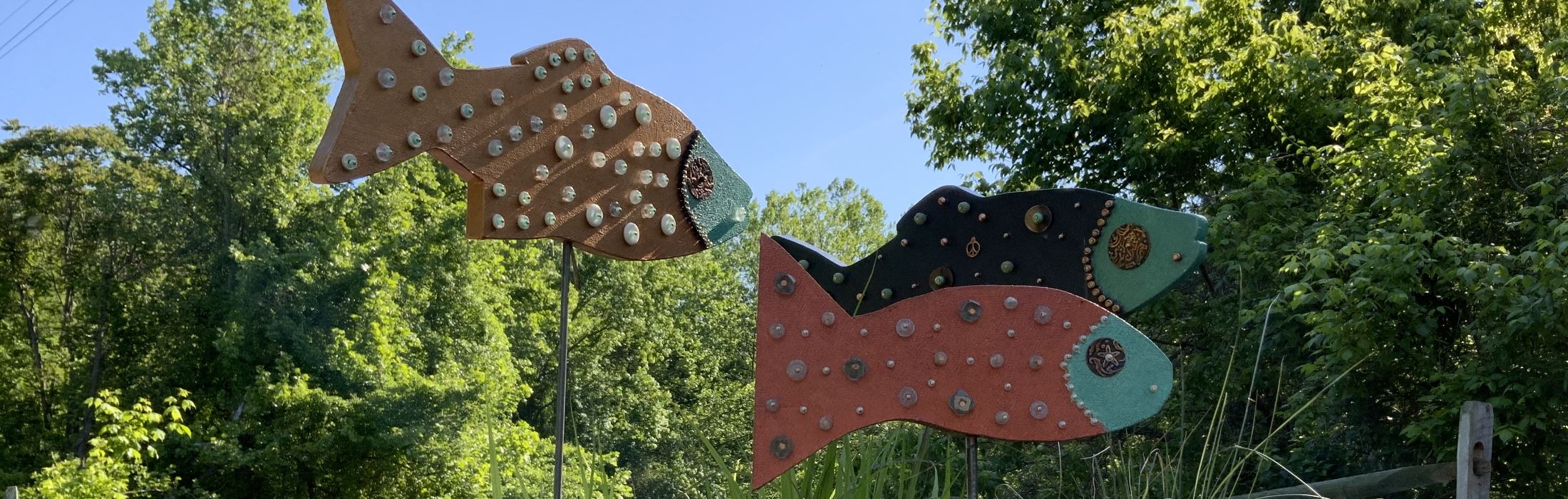 Facilities • Laurel Municipal Swimming Pool